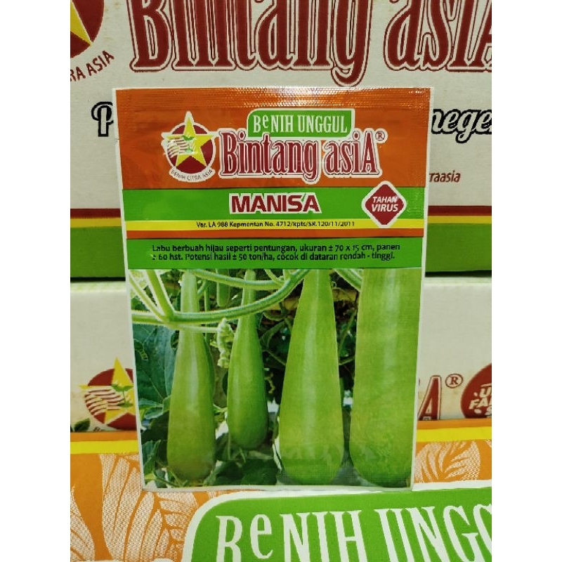 Jual Benih Labu Air MANISA 10 Gram Cap Bintang Asia PT Benih Citra Asia ...