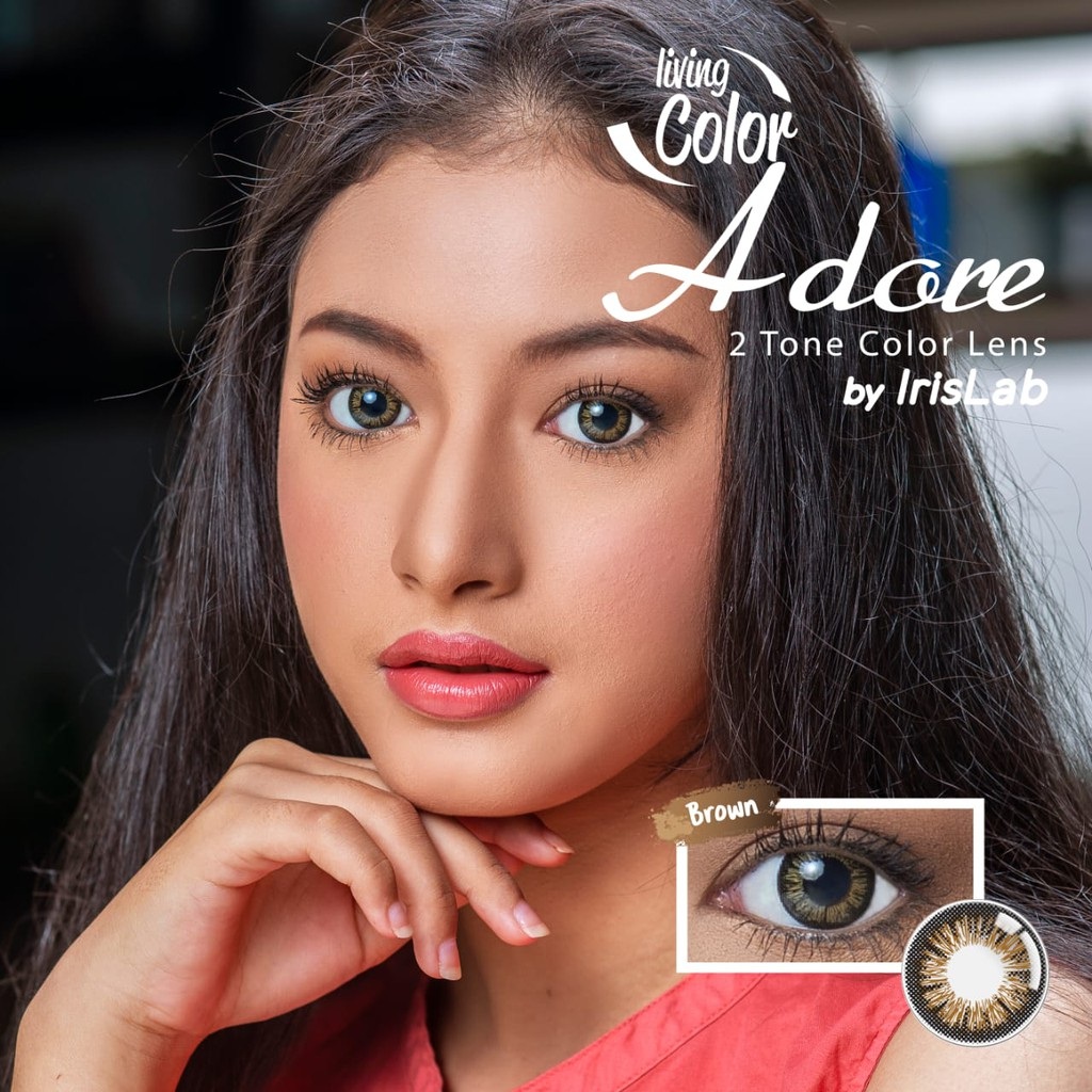 Jual SOFTLENS LIVING COLOR ADORE BROWN 2 TONE ( normal S.D -8,00 ...
