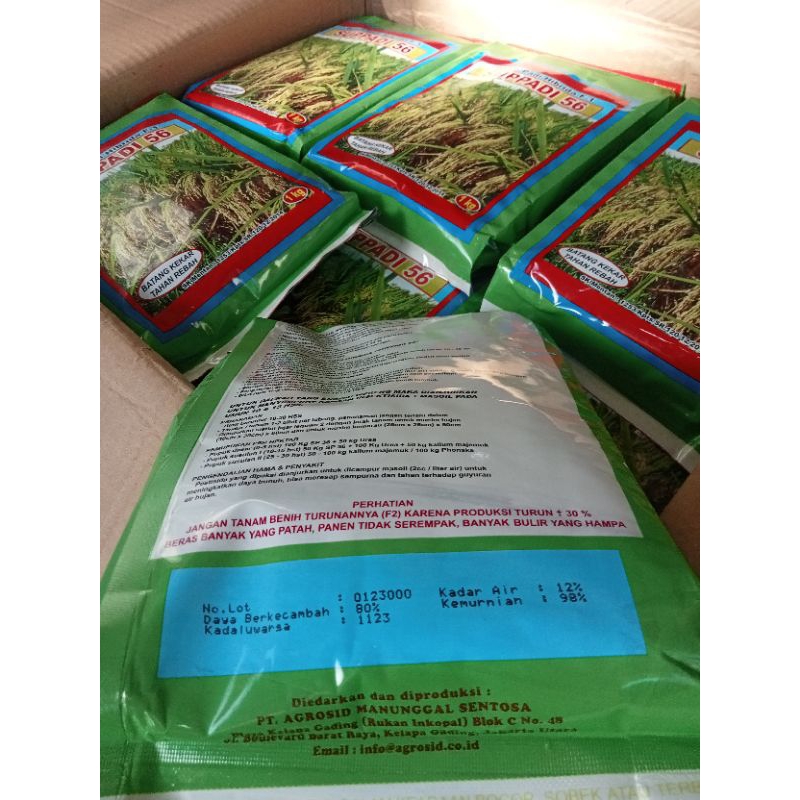 Jual benih padi supadi 56 1kg original | Shopee Indonesia