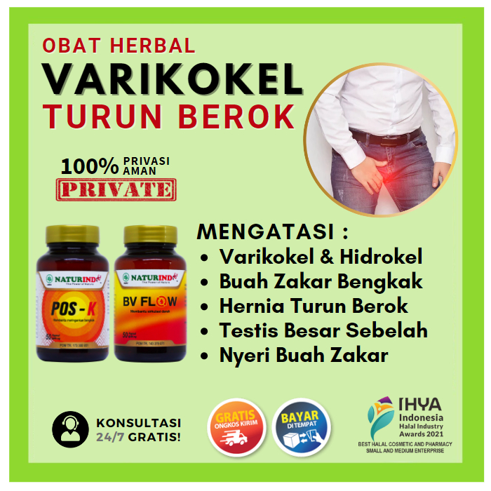 Jual Obat Varikokel Hernia Buah Zakar Bengkak , Mandul Nyeri Testis ...