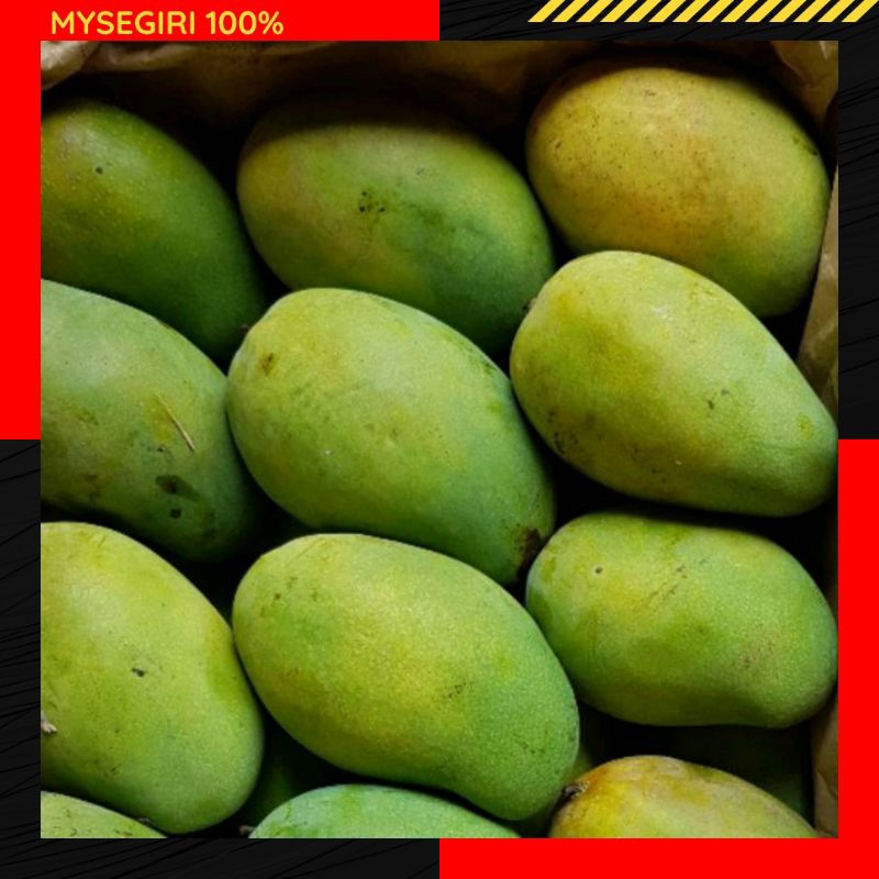 Jual Buah mangga Harum manis segar | Shopee Indonesia Jual Buah mangga Harum manis segar | Shopee Indonesia
