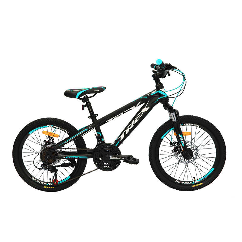Jual Sepeda Anak - Sepeda Gunung MTB Trex Ukuran 20 Inch | Shopee Indonesia