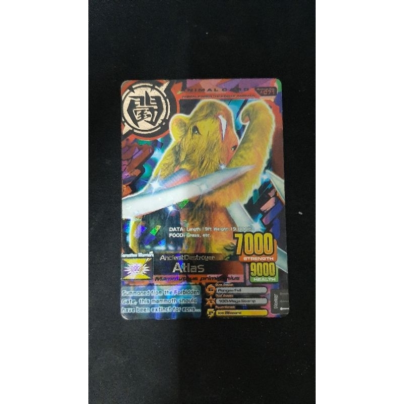 Jual KARTU ANIMAL KAISER BOSS KW ( Atlas ) | Shopee Indonesia