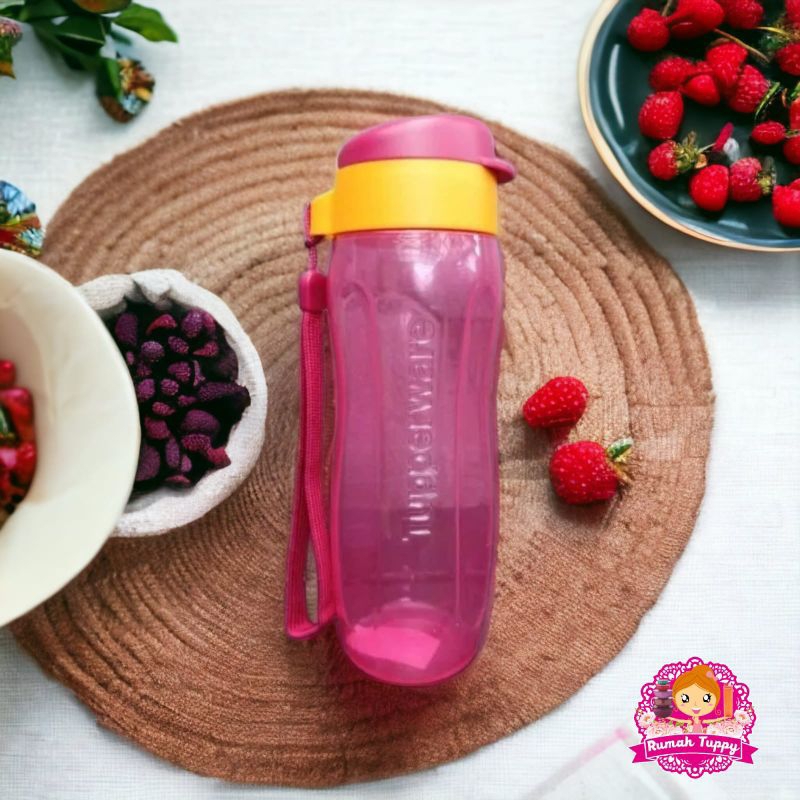 Jual Wadah Tempat Botol Air Minum Fashion Eco Bottle 500 ml Flip ...