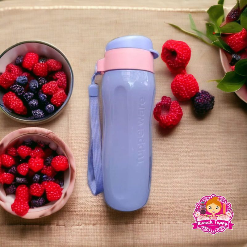 Jual Wadah Tempat Botol Air Minum Fashion Eco Bottle 500 ml Flip ...