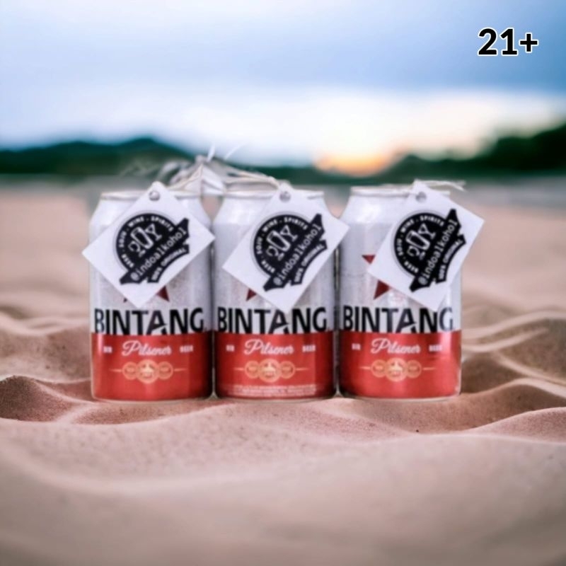 Jual Paket 3 Beer Bintang Can Pilsener 320ml - Bir Kaleng - INDOALKOHOL Original 100% | Shopee ...