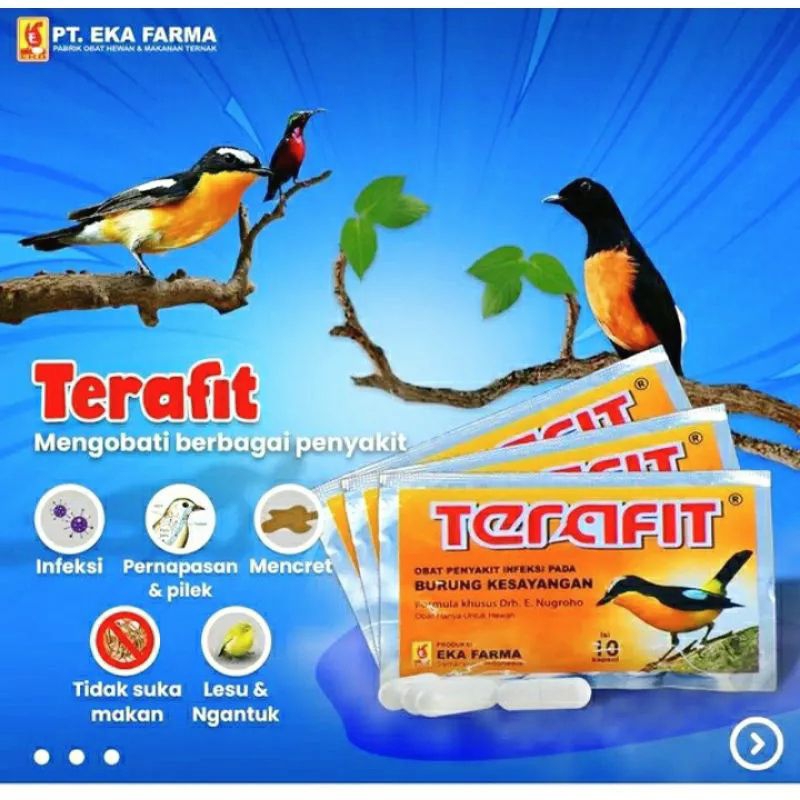 Jual TERAFIT OBAT PENYAKIT INFEKSI SAKIT PERNAFASAN MENCRET PILEK LESU ...