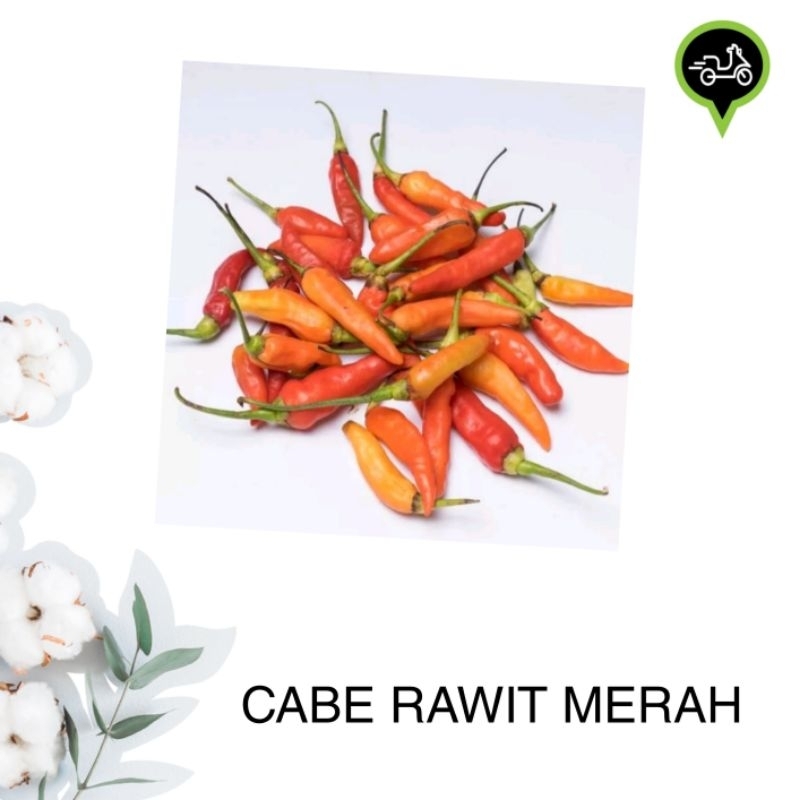 Jual Cabe rawit merah / cabe rawit hijau /cengek | Shopee Indonesia Jual Cabe rawit merah / cabe rawit hijau /cengek | Shopee Indonesia