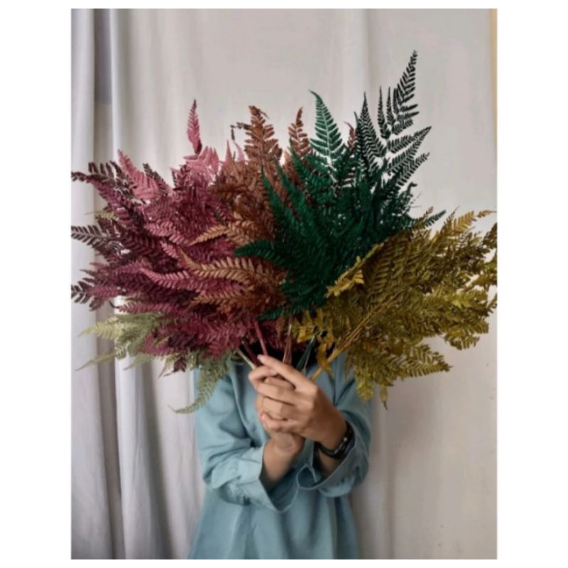 Jual Daun Pakis Kering Untuk Hiasan Cake Rustic,Topper Daun Pakis ...