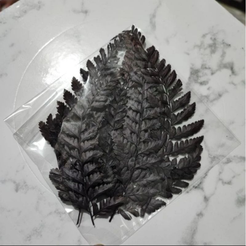 Jual Daun Pakis Kering Untuk Hiasan Cake Rustic,Topper Daun Pakis ...