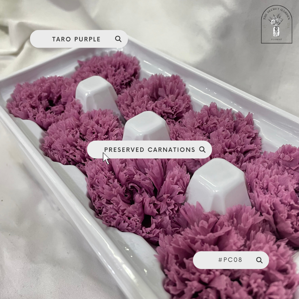 Jual PRESERVED CARNATIONS [8PCS/BOX] BUNGA ASLI KERING | DRIED FLOWER ...