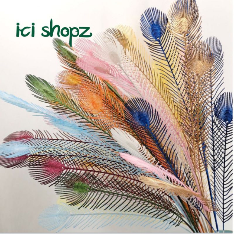 Jual Daun Merak Rainbow Daun merak Artificial Tinggi 95Cm | Shopee ...