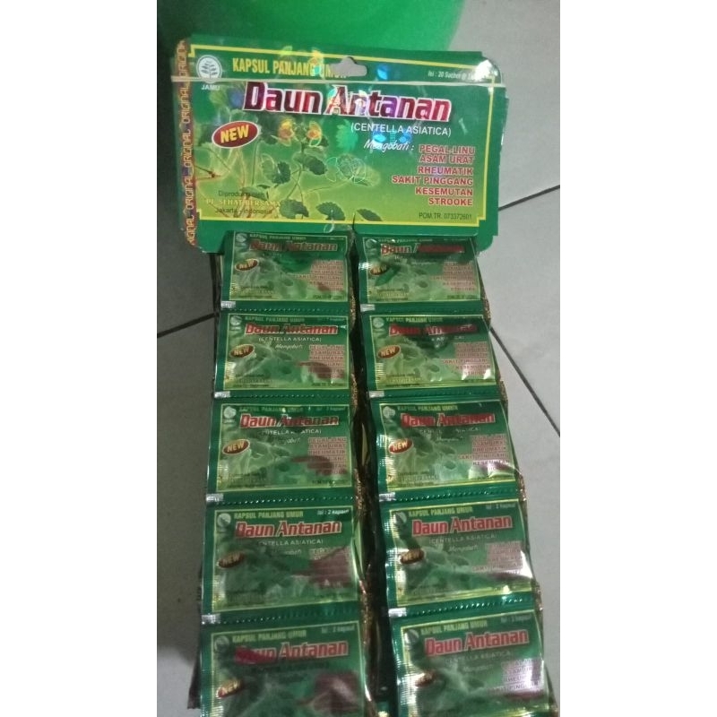Jual KAPSUL DAUN ANTANAN 100% ORIGINAL BERKHASIAT SUPER AMPUH | Shopee ...