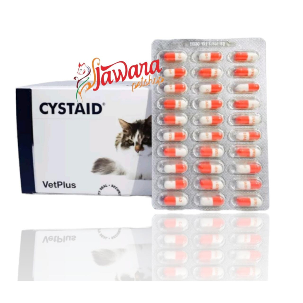 Jual CYSTAID harga Per kapsul ( Obat Untuk Masalah Saluran Kencing Pada ...