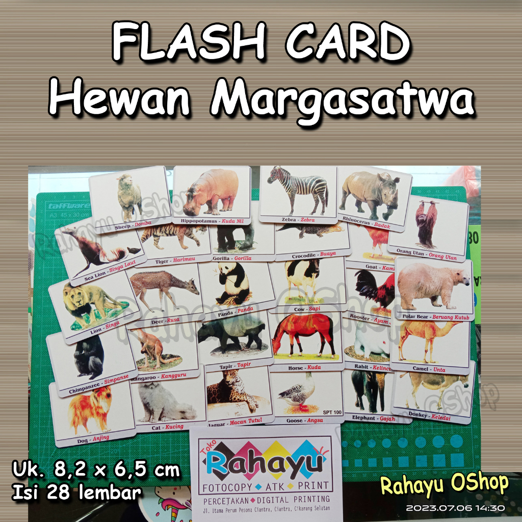 Jual Flashcard Hewan Margasatwa 28 lembar | Shopee Indonesia