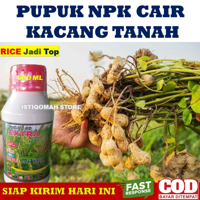 Jual 100% AMPUH Pupuk NPK Cair Rice Jadi Top 500ML Pupuk Pelebat Kacang Tanah Terbaik, Pupuk ...