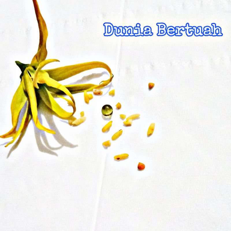 Jual Batu Mustiko Embun Hijau | Shopee Indonesia