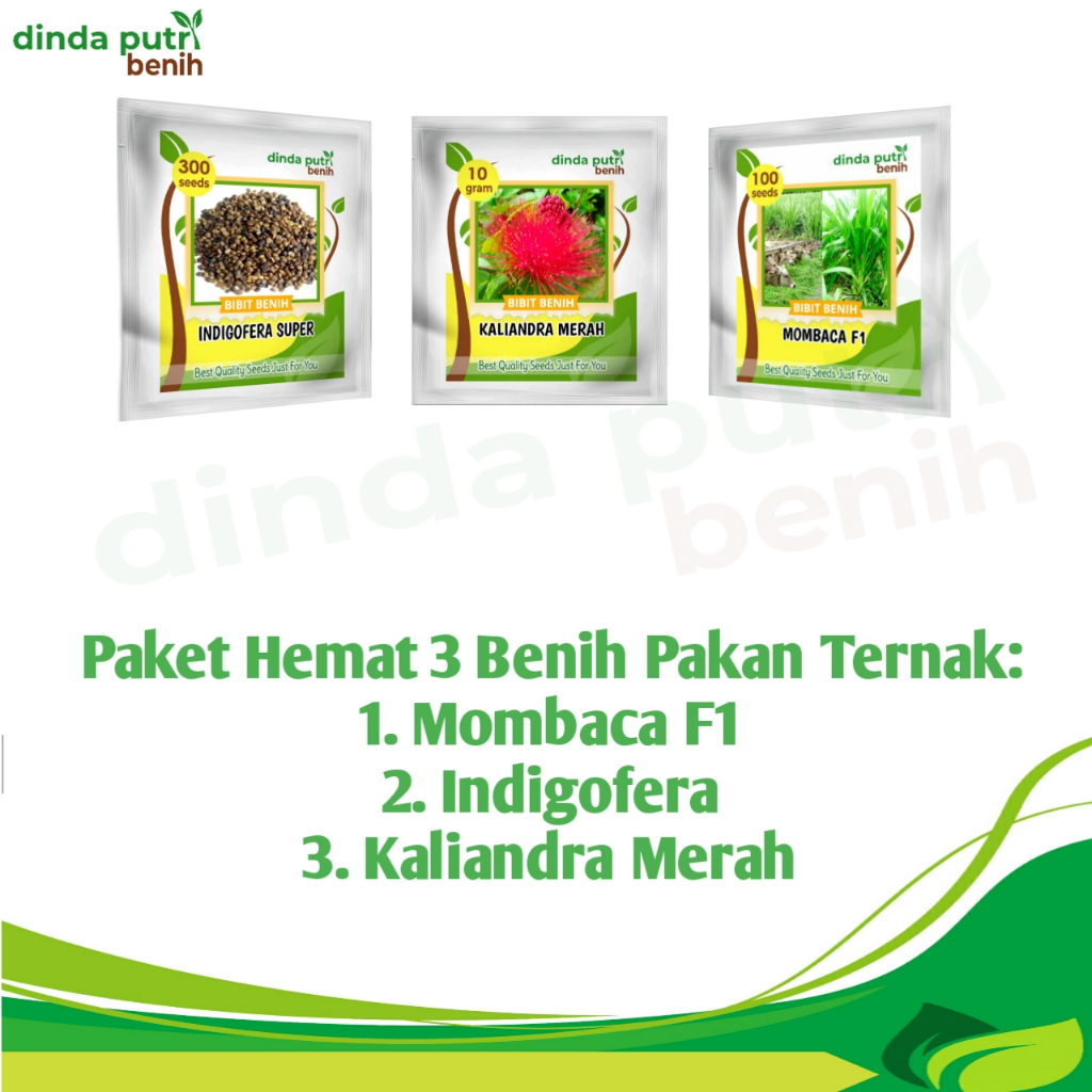 Jual 3 Benih paket lengkap / benih bibit indigofera / bibit mombaca F1 ...