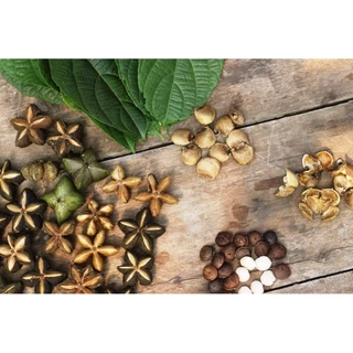 Jual kacang sacha inchi Harga Terbaik & Termurah Juli 2024 | Shopee ...