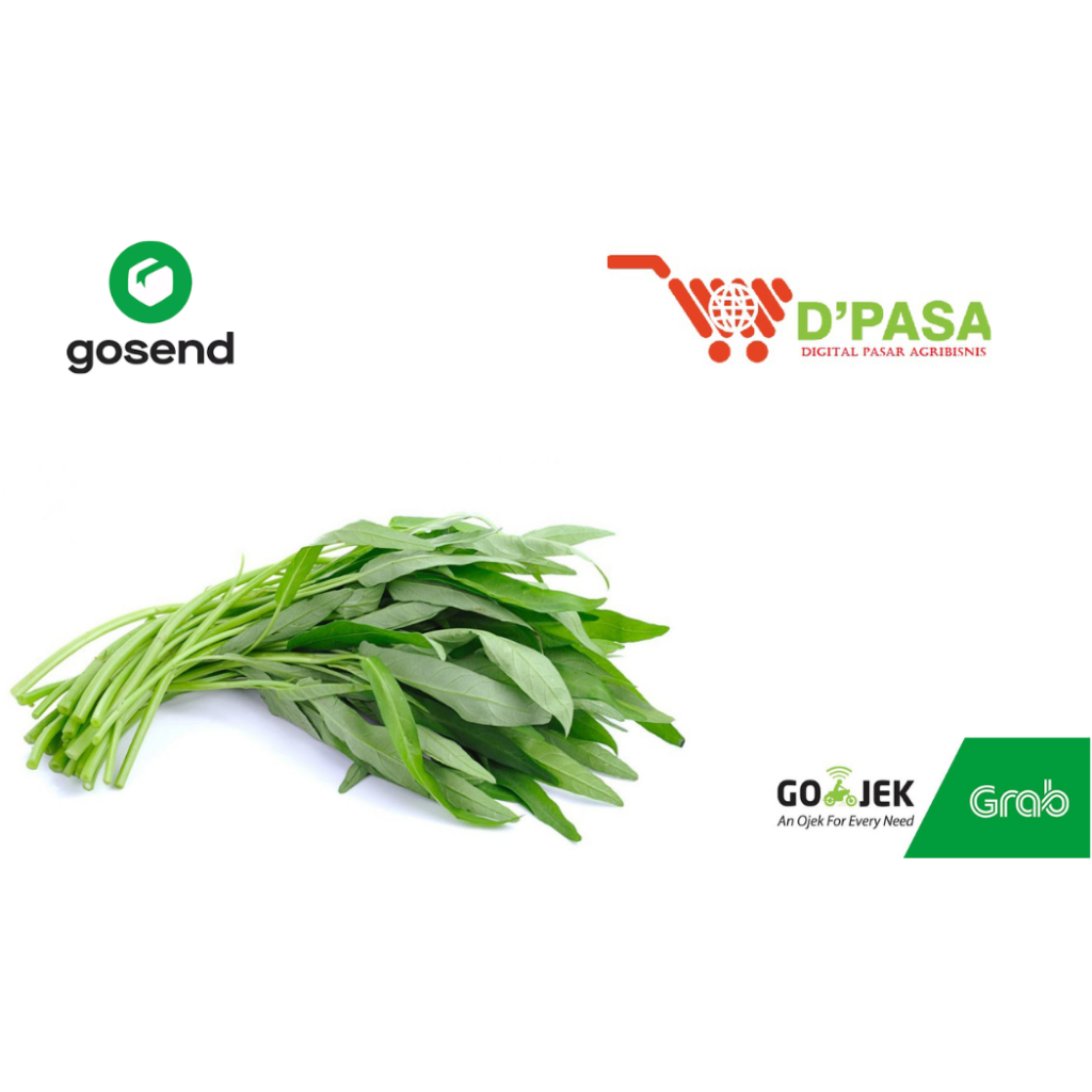 Jual KIRIM INSTAN Kangkung 1 Ikat Sayur besar Sayuran Fresh Vegan ...