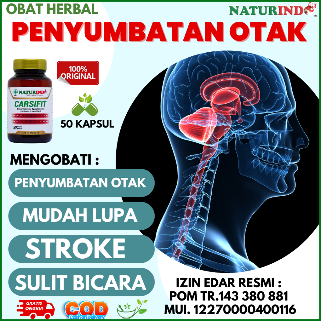 Jual Obat Penyumbatan Pembuluh Otak Pendarahan Penggumpalan Melancarkan ...