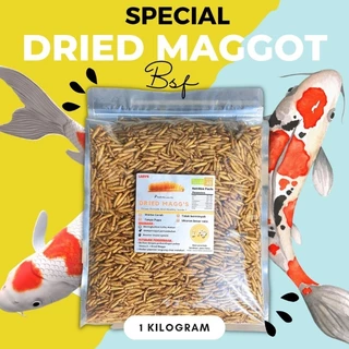 Jual Maggot Terlengkap & Harga Terbaru Februari 2026 | Shopee Indonesia