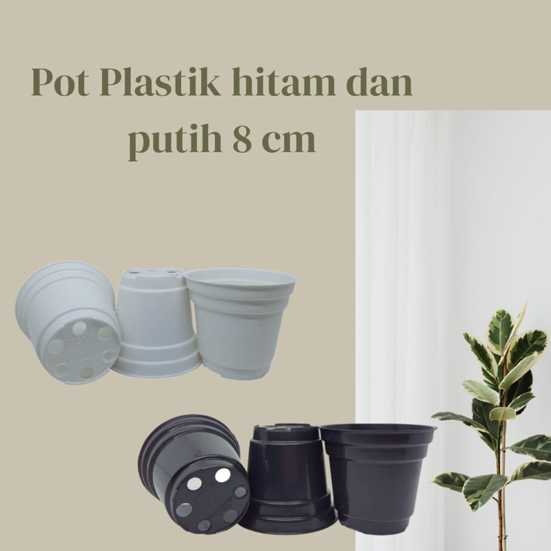 Jual Pot Hitam dan Putih 8 Cm pot 8 Cm Hitam Putih Pot Bunga 8cm ...