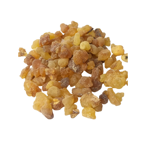 Jual Kemenyan Arab Luban Frankincense Boswellia Papyrifera untuk bukhur ...