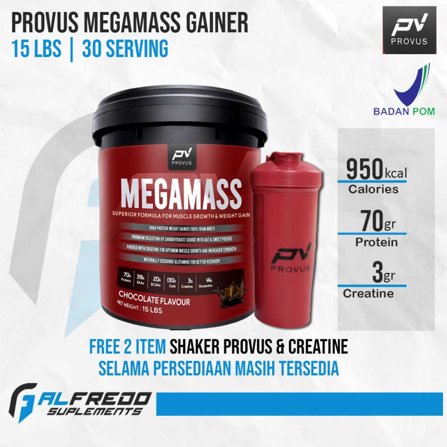 Jual Provus Megamass gainer 15 Lbs Mega Mass Weight Gain | Shopee Indonesia