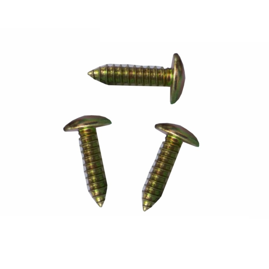 Jual (50 Pcs) Sekrup TAB #10x1'' TS TSAB TSAT Kuning | Shopee Indonesia