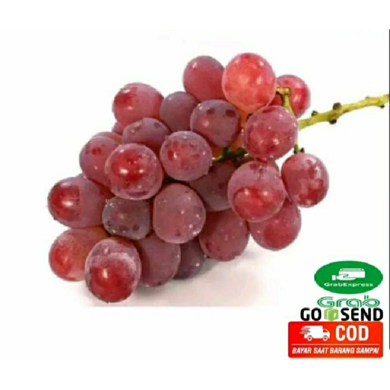 Jual buah anggur california manis/garing 1kg | Shopee Indonesia
