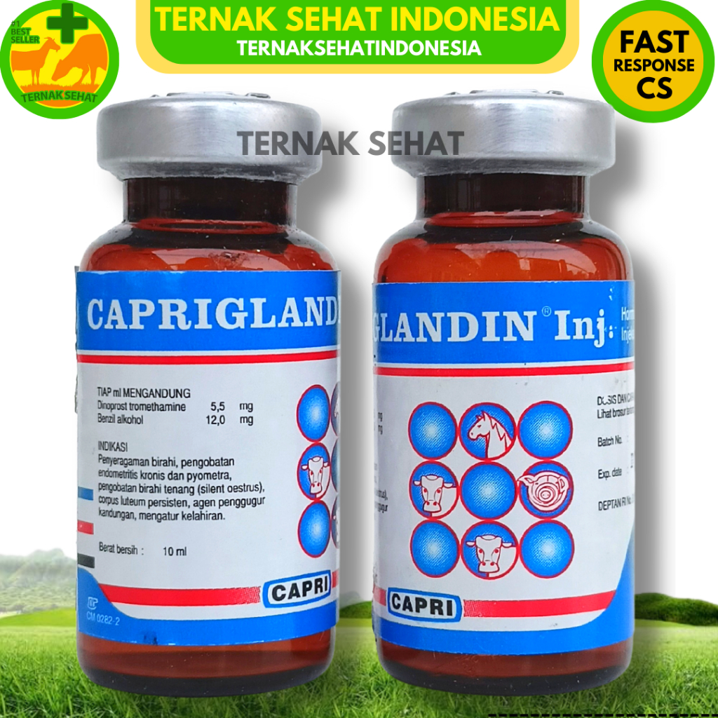 Jual CAPRIGLANDIN INJ 10 ml - Hormon Sinkronisasi Estrus Sapi Kambing ...