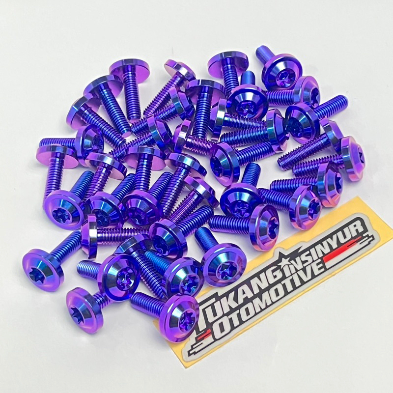 Jual Baut Titanium GR5 Tameng Knalpot M6x20 Big Head (1 PCS) | Shopee Indonesia