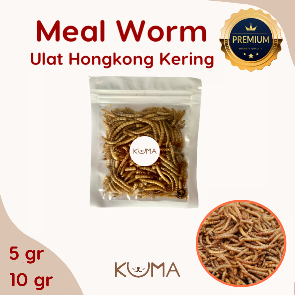 Jual [KUMA] DRIED MEAL WORM Ulat Hongkong Kering 5 10 Gr Premium ...