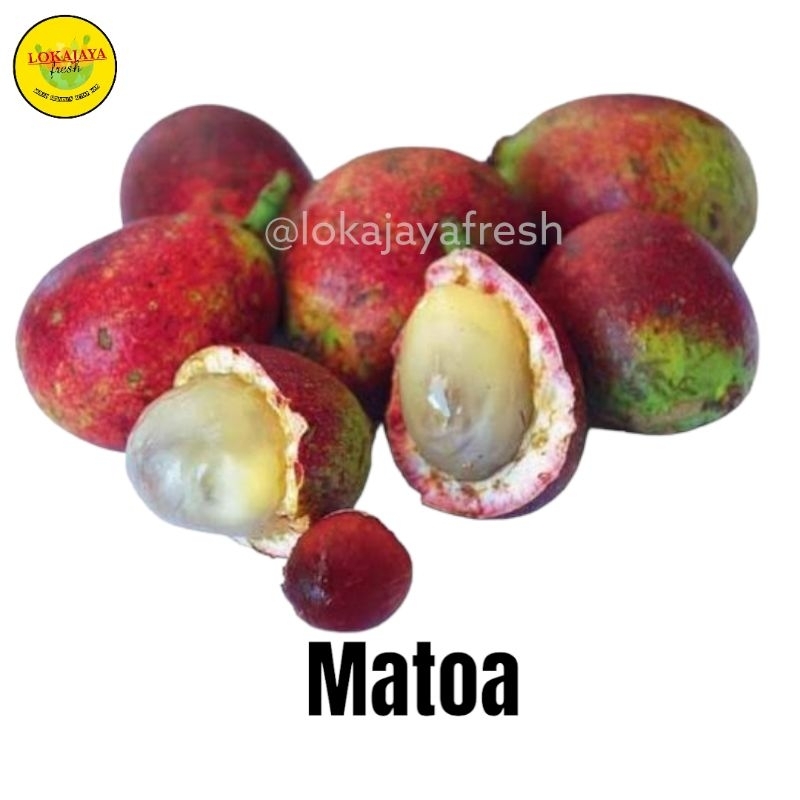 Jual Matoa Super 1 Kg | Shopee Indonesia