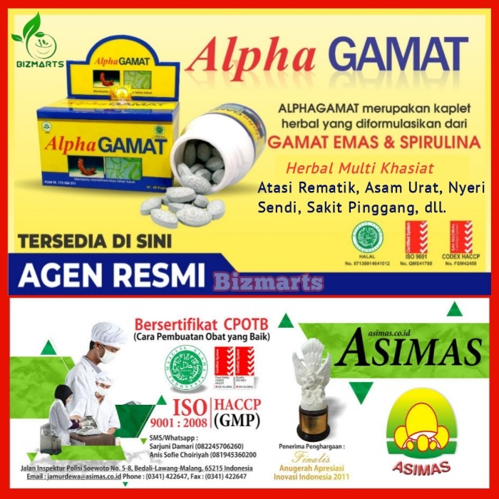 Jual Obat Herbal Nyeri Sendi dan Vitamin Tulang | Alpha Gamat PREMIUM ...