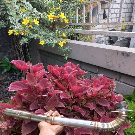 Jual leher sleep engine 200cc supra 125 karisma wave kirana absolute ...