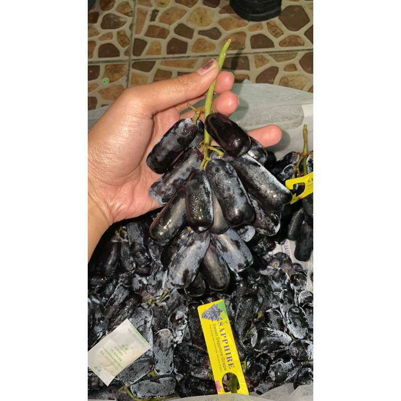 Jual Anggur Jari Non Biji/Anggur Black Moondrop/ Moondrop | Shopee ...