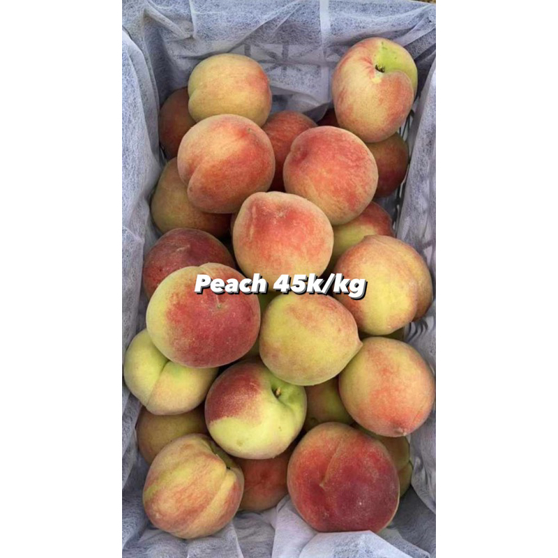 Jual Buah Peach/White Peach [1kg] | Shopee Indonesia