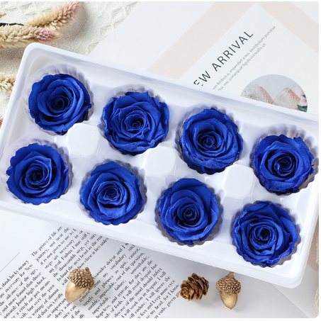 Jual mawar royal blue, biru. bunga mawar asli segar yang diawetkan ...