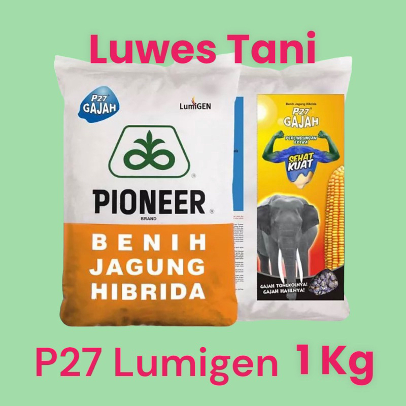 Jual Lumigen P27 Gajah Lumigen 1kg benih jagung pioneer P 27 tahan ...