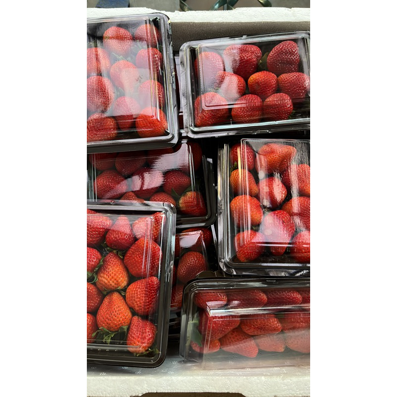Jual Fresh strawberry import Korea size sedang dominan manis 260 gram ...