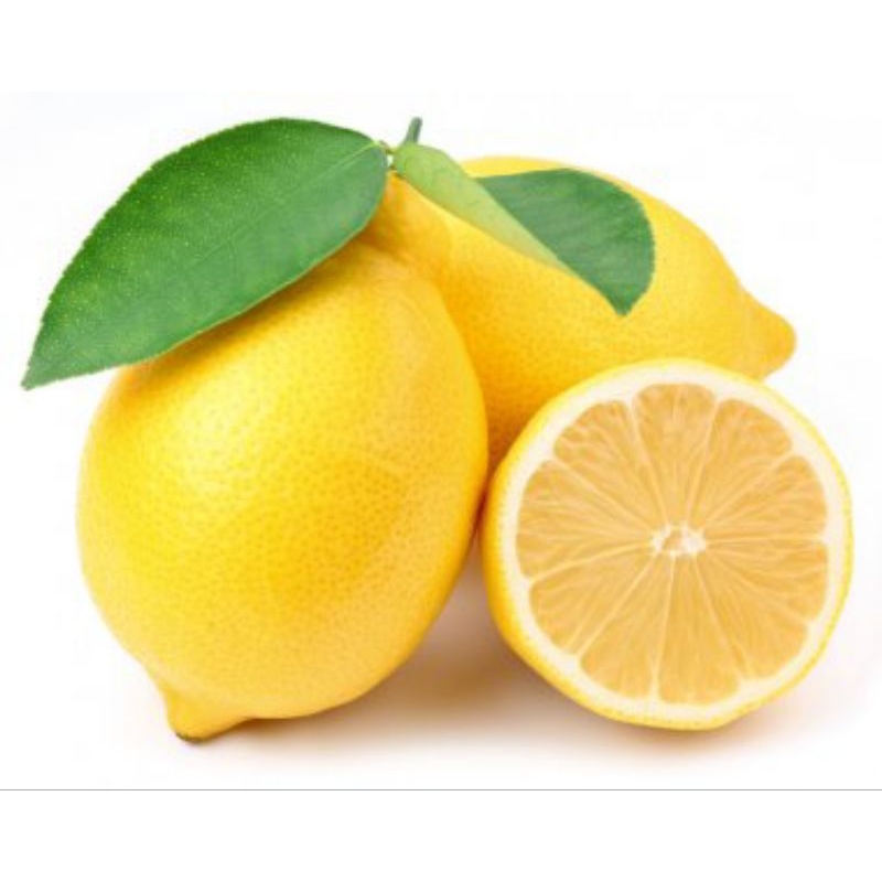 Jual Lemon Lokal 1kg Isi 6 - 10 biji | Shopee Indonesia