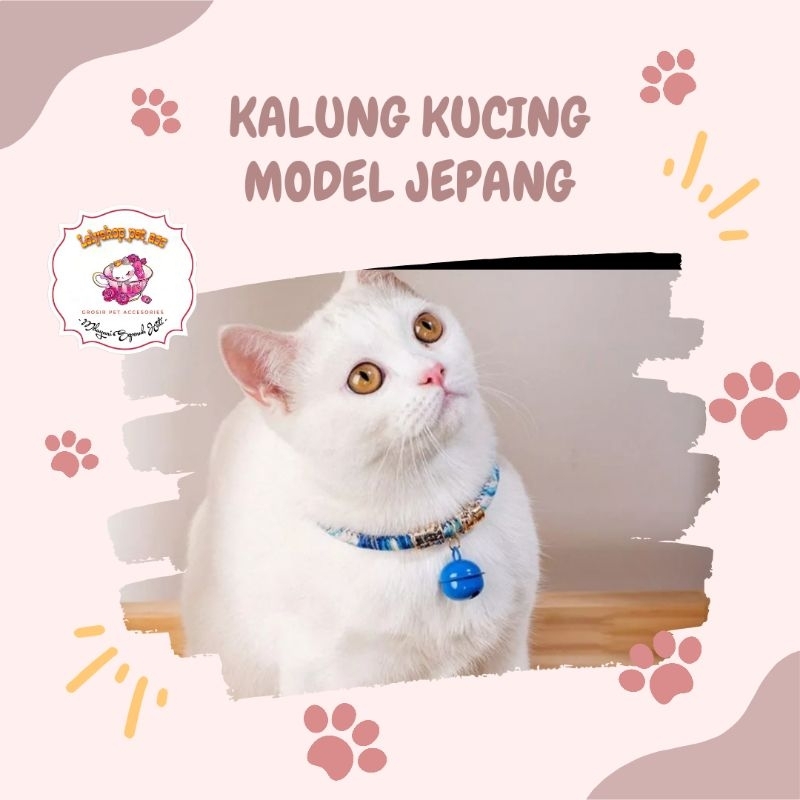 Jual KALUNG KUCING MODEL JEPANG LONCENG UFO 22MM || JAPANESE PET COLLAR ...
