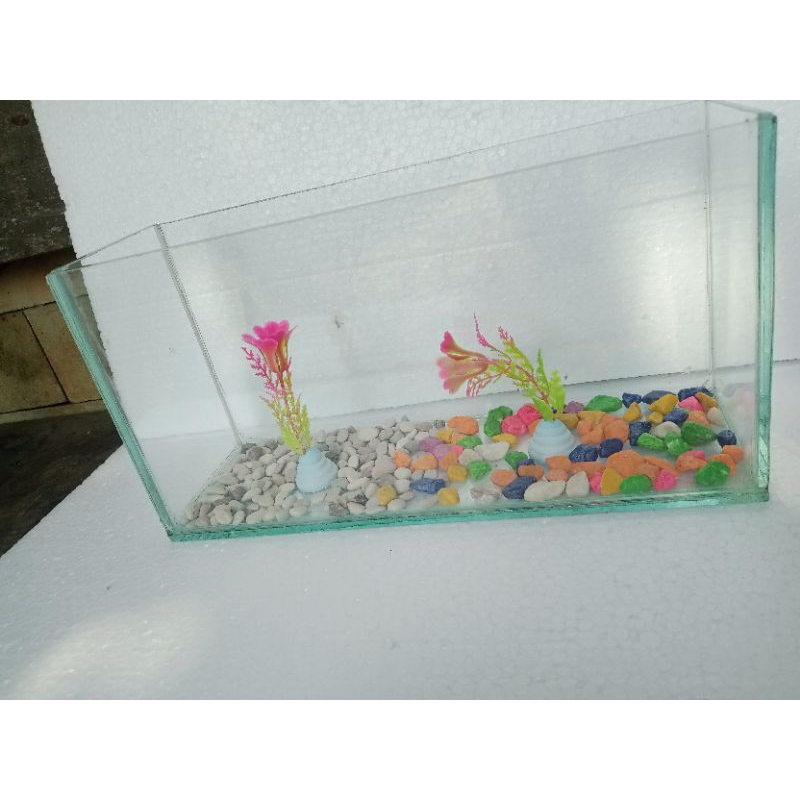 Jual Akuarium kaca ikan cupang 30x10x15 + batu hias dan kembang ...