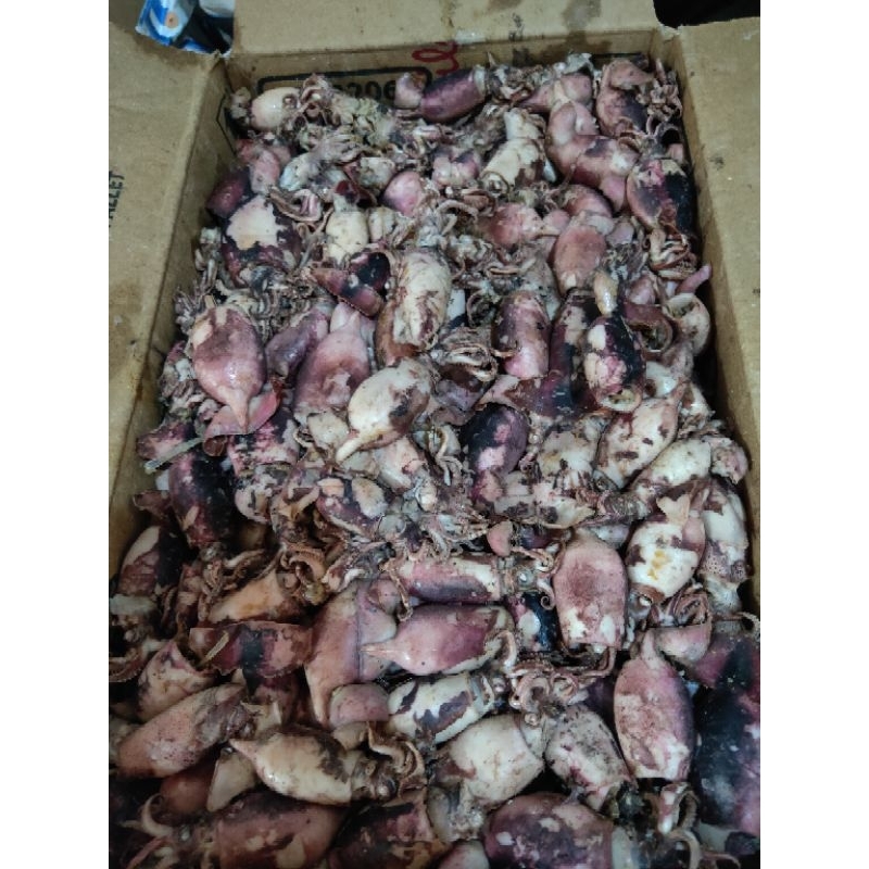 Jual Cumi / sotong Asin Isi 1Kg | Shopee Indonesia