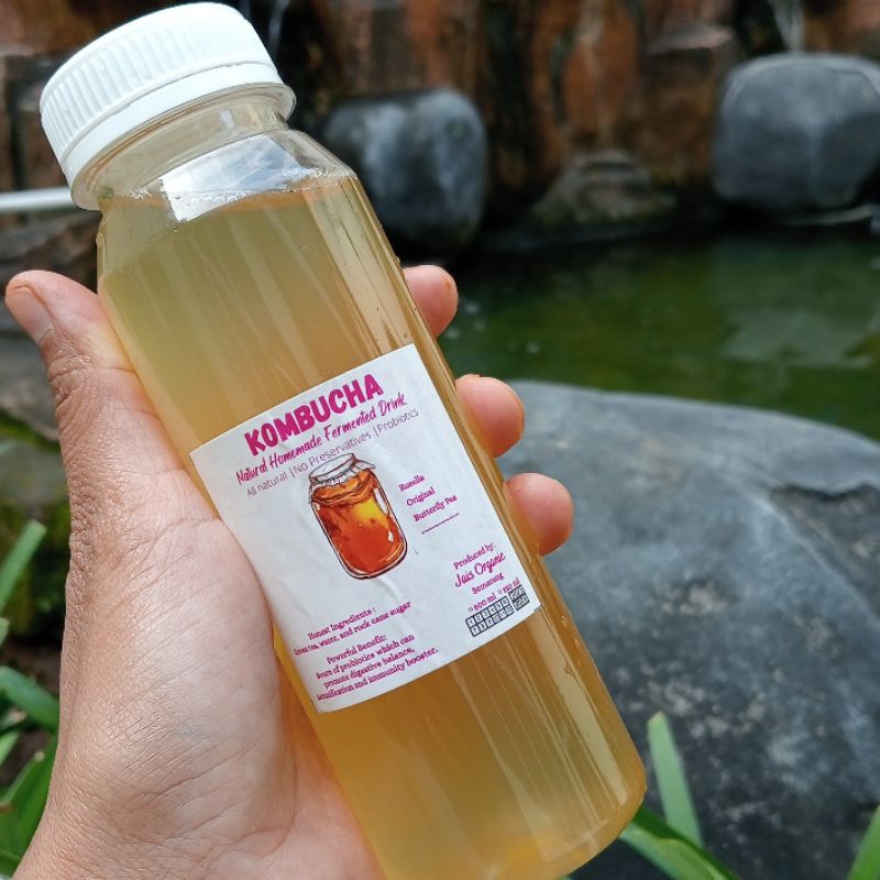 Jual KOMBUCHA GREEN TEA 250 ML minuman fermentasi teh | Shopee Indonesia