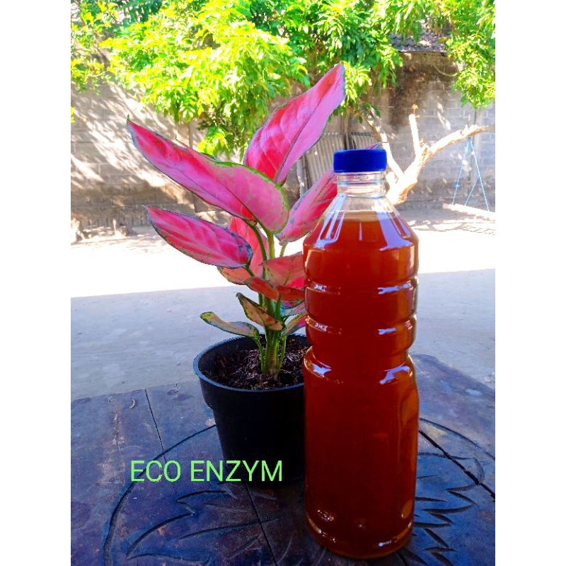 Jual Eco Enzym - Pupuk Organik Cair 1 Liter | Shopee Indonesia