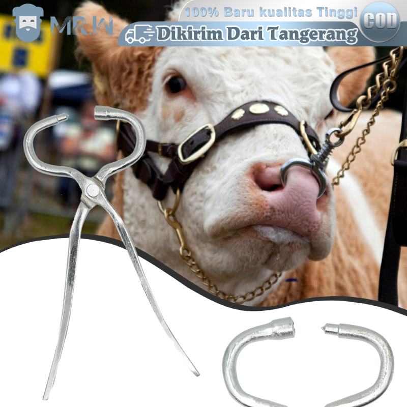 Jual 35cm Tang Penjepit Hidung Sapi Alat Tindik Pelubang Hidung Sapi ...