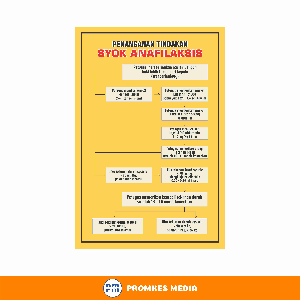 Jual Poster Kesehatan, Poster Syok Anafilaksis, Syok, Gadar | Shopee ...